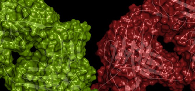 Maladie de Verneuil, un traitement recommandé par l’EMA